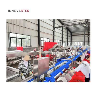 China Multifunctional Automatic Industrial Conveyor Check Weight Grading Machine for Fruit for sale