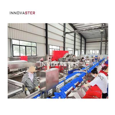 China Automatic 500 kg Poultry Weight Sorting Machine 3 Levels 1g Accuracy for sale