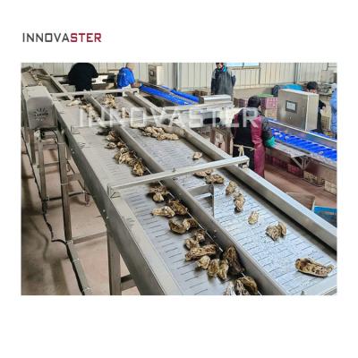China Multifunctional 2500W Oyster Scallop Sea Cucumber Sorting Machine for sale