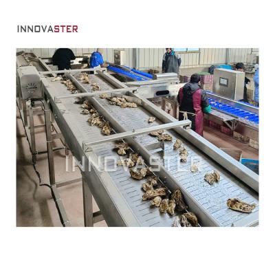 China Industrial Weight Sorting Machine for Sorting Fruits Vegetables Seafood and Oysters for sale