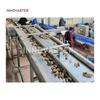 China Automatic Seafood Weight Sorting Machine 6000x1250x1750mm 2500W Oyster Grader for sale