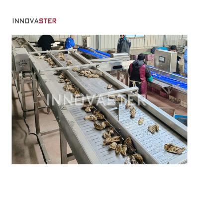 China Automatic Seafood Weight Sorting Machine 6000x1250x1750mm 2500W Oyster Grader for sale