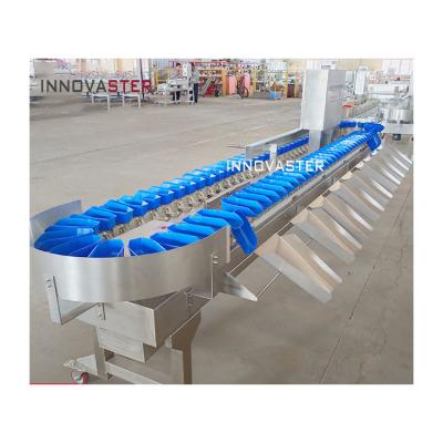 China 6000x1250x1750mm Seafood Shrimp Chicken Feet Weight Grading Machine 1g Accuracy for sale