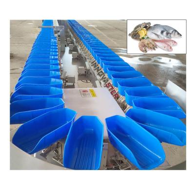 China 304 Stainless Steel Fruit Vegetable Sorting Grading Machine 50-5000g Weighing Range for sale