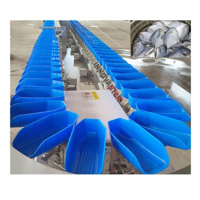China 304 Stainless Steel Intelligent Carrot Fish Fillet Sorter 6000x1250x1750mm 120-160 pcs/min for sale