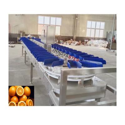 China Belt Type Shrimp Grading Machine 120-160 Pcs/min 50-5000g Weighing Range for sale