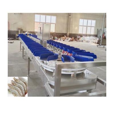 China Conveyor Belt Weight Sorting Machine for Live Fish Seafood 5000g Capacity 1g Accuracy for sale