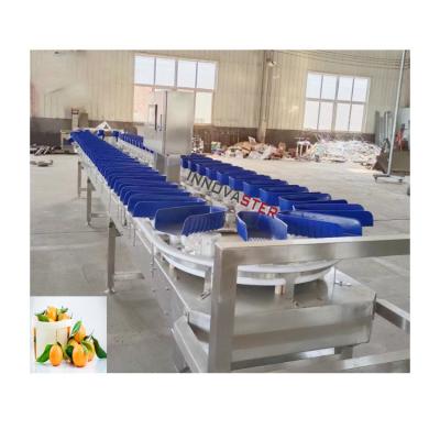 China 6000x1250x1750mm High Accuracy Frozen Seafood Weight Sorting Machine 1g Precision for sale