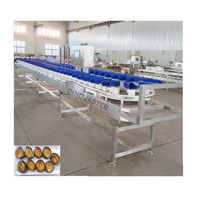 China Fish Sorting Machine Tilapia Graders Anchovy Weight Grader Voltage 220V/380V for sale