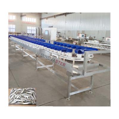 China Conveyor Belt Weight Sorting Machine 6000x1250x1750mm 500kg for Frozen Chicken Leg Wing Abalone for sale