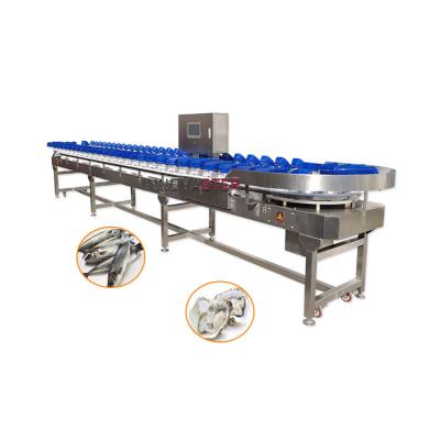 China 304 Stainless Steel Food Industry Oyster Weight Grader 50-5000G 120-160PCS/Min for sale