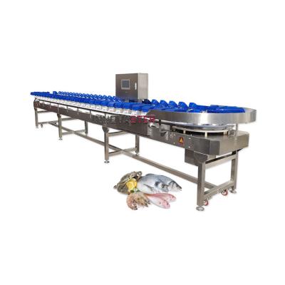 China Conveyor Belt Weight Sorting Machine 120-160 Pcs/min 50-5000g for Fruits Vegetables Fish Seafood for sale