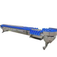 China Stainless Steel Automatic Chicken Weight Sorting Machine 5-12 Grade 240-320 Pcs/Min for sale