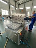 China Modified Atmosphere Freeze-dried Durian High Protective Packaging Machine for Easy Operation for sale