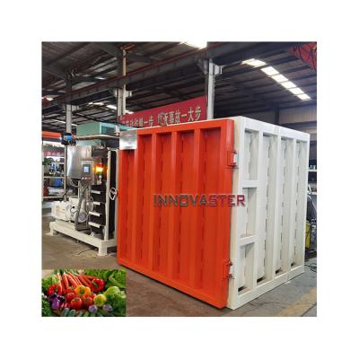 China Commercial Vacuum Pre Cooling System 1-8 m³ for Vegetables Flowers Rapid Cooling for sale