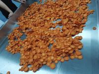China 215 kg Vacuum Fruit Crisp Chips Fryer Machine 36kw 380V for Manufacturing Plant for sale