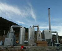 China 13000 kg Capacity Industrial Incinerator for Safe Official Department Waste Treatment for sale