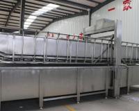 China User-Friendly Automatic Industrial Blanching and Precooking Machine for Your Business for sale