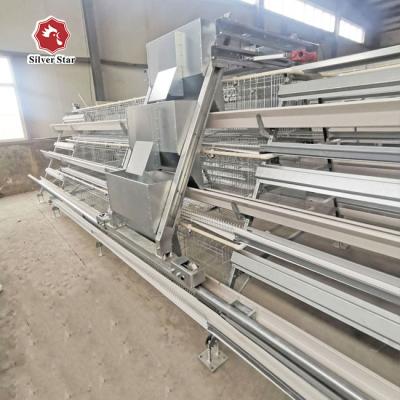 China Hot / Cold Dipped Galvanized battery cage chicken farming Wire Mesh for sale