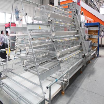 China Newest Design Full Automatic Battery Chicken Cage 160 Birds / Set for sale