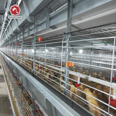 China H Type Automatic Broiler Chicken Cage 3-8 Tiers 85x220cm Hot Dip Galvanized for sale