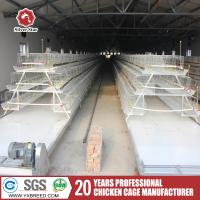 China Poultry Farm Automatic A Type Galvanized Layer Egg Laying Chicken Battery Cage System for sale