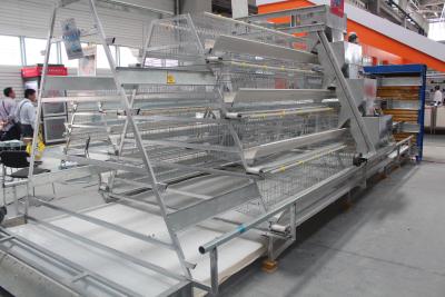 China Eggs Layer Chicken Cage Cold And Hot Galvanized Feeding System for sale