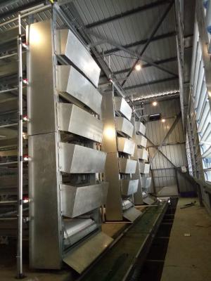 China H Type 5 Tiers Automatic Broiler Feeder 1800x1200x410mm Poultry Farm Equipment for sale