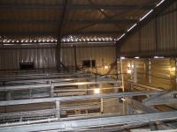 China Q235 H Type 3-8 Tier Layer Chicken Cage 54-144 Birds Set Poultry Equipment for sale