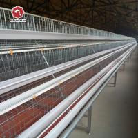 China A Shape Battery Chicken Cage With Full Automatic System Chicken Farm for sale