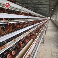 China Galvanized 3-10Tiers H Type Layer Cage , 384 Chicken Egg Laying Cages for sale