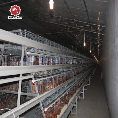 China Hot Dipped Galvanized Wire Mesh A Type 3 Tier Battery Chicken Cage 120 Birds for sale