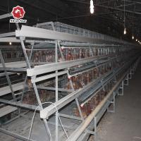 China A Type 3 Tiers Big Size Chicken Breeding Cage 120 Birds Set Galvanized Steel for sale