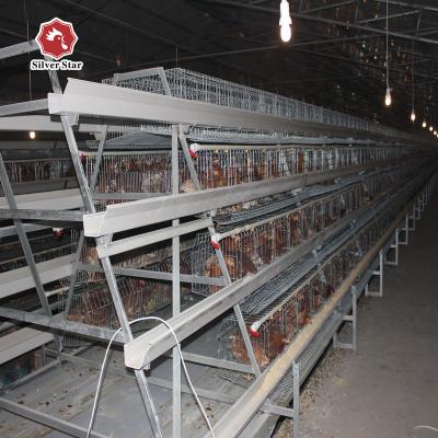 China A Type 3 Tiers Big Size Chicken Breeding Cage 120 Birds Set Galvanized Steel for sale