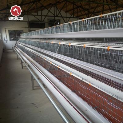 China Automatic Egg Laying Chicken Cage A Type 3-4 Tiers 120-160 Birds Hot Dipped Galvanized for sale