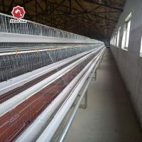 China Hot And Cold Galvanized Battery Cage System In Poultry for sale