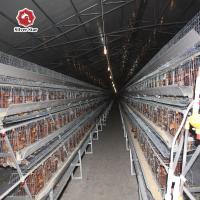 China A Type Layer Chicken Battery Cages Hot Galvanized Wire Mesh for sale