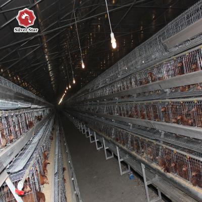 China Automatic Feeding System for Hens Layer Egg Chicken Cage 120 Birds A Type 3 Tiers for sale
