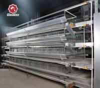 China 3 Phase Farm Layer Chicken Cage Poultry H Type Layer Cage for sale