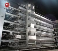 China H Type Automatic Layer Chicken Cage System - 3 to 8 Tiers, 54-144 Birds Capacity, 65×218cm Base Size for sale