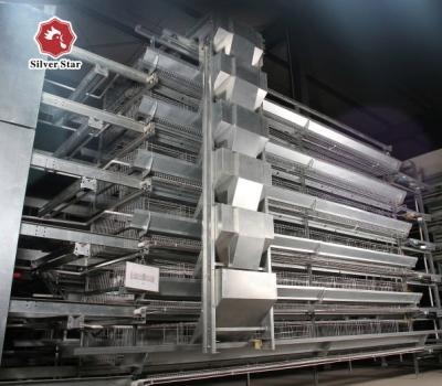 China H Type Automatic Layer Chicken Cage System - 3 to 8 Tiers, 54-144 Birds Capacity, 65×218cm Base Size for sale