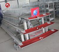 China A Frame Hot Dipped Layer Battery Chicken Cage 4 Layers / Cell for sale