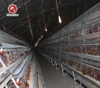 China Big Capacity Layer Chicken Cage Hot Dipped Galvanized for sale