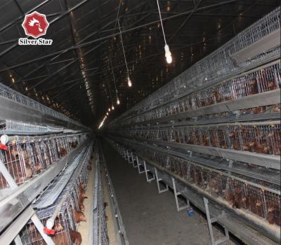 China 120 Capacity Hot And Cold Battery Chicken Cage A Type for sale