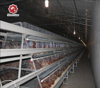China Big Capacity Layer Chicken Cage Hot Dipped Galvanized for sale
