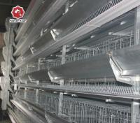 China Big Size Newest Design H Type Battery Cages Galvanized Steel Wire Mesh for sale