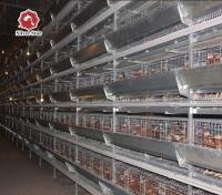China 65*62.5 Cm H Type Battery Chicken Cage Big Size for sale