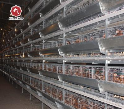 China 65*62.5 Cm H Type Battery Chicken Cage Big Size for sale