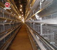 China 3 Phase Farm Layer Chicken Cage Poultry H Type Layer Cage for sale