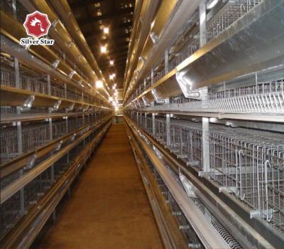 China 3 Phase Farm Layer Chicken Cage Poultry H Type Layer Cage for sale